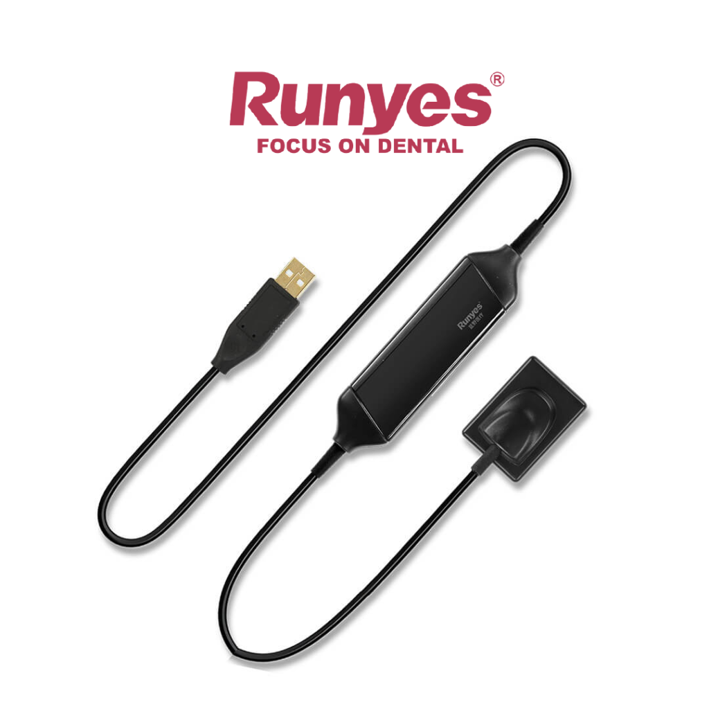 RVG DS530 Runyes - AMED